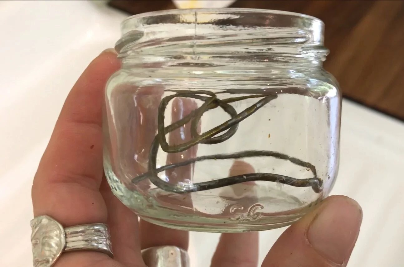 How to Make a Paint Brush Cleaner — Caleigh Bird Art