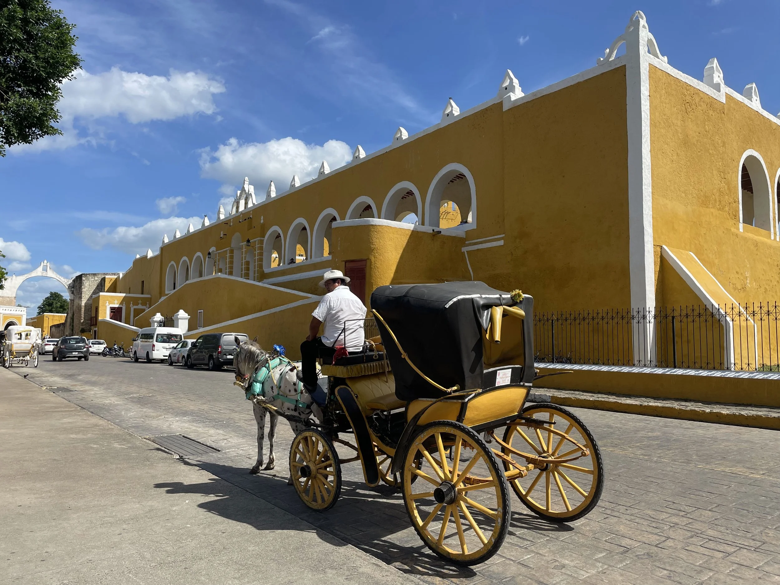 Merida, Mexico Part 2: The Wow Continues! — Caleigh Bird Art