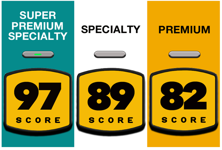 Froth Coffee Roasters