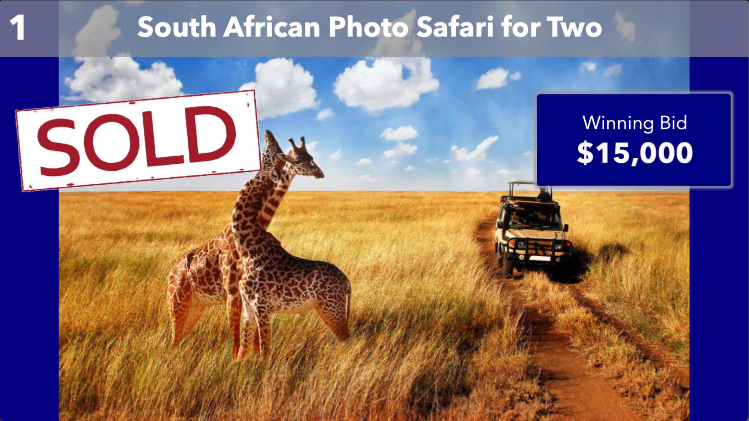 Live Auction Screen — ibidmobile.net