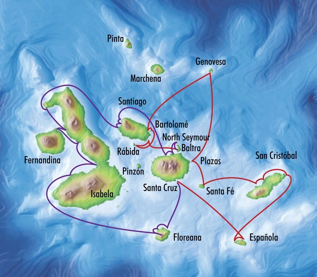 Genovesa Island Map