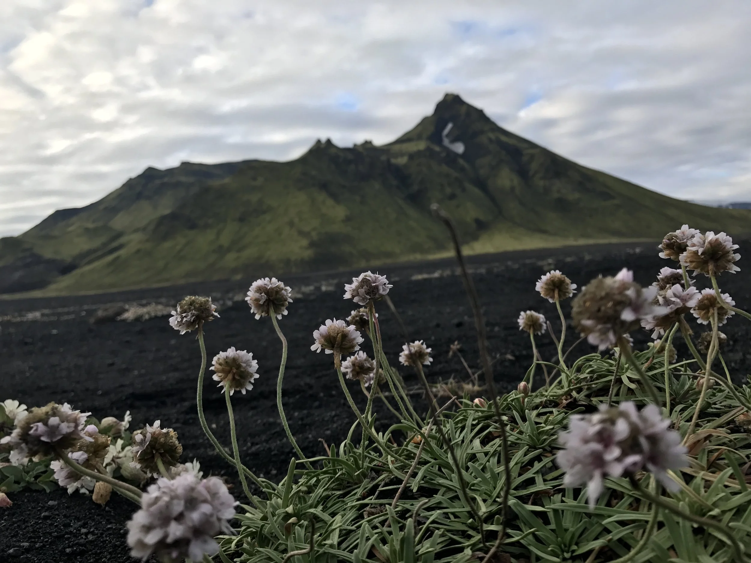Laugavegur Trail-2 — Arctic Running Tours