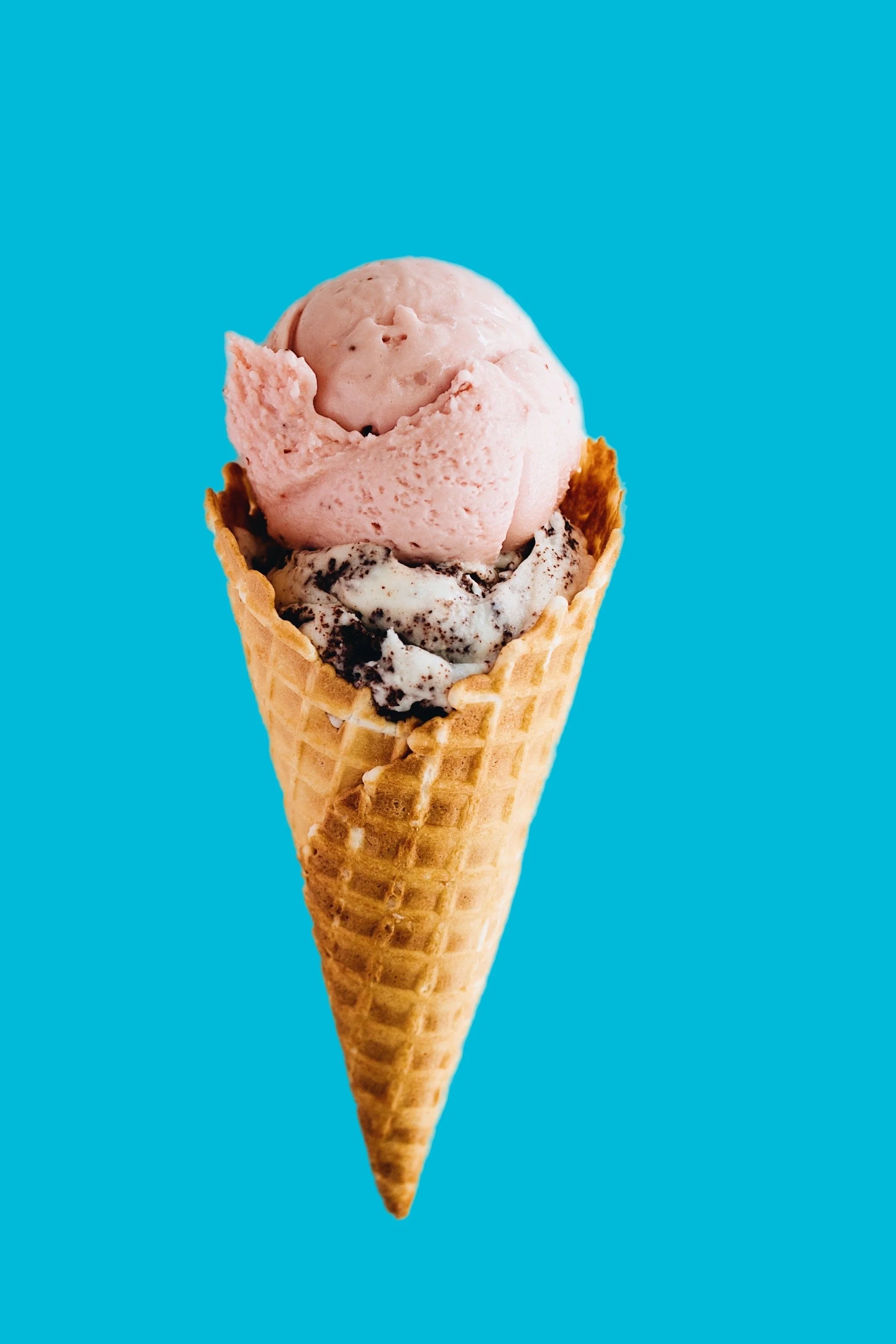 Loblolly Creamery | Handcrafted Ice Cream — Ice Cream Truck Catering ...