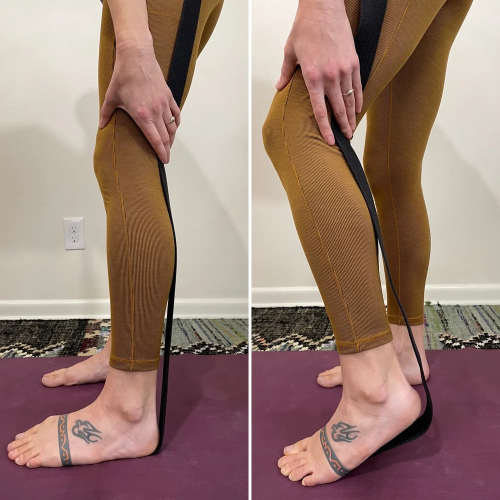 Why Can't I Touch My Toes? — KindBody Movement