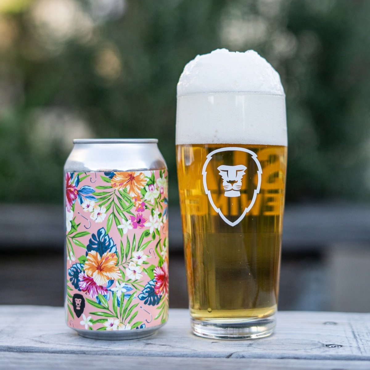 Recent Releases — Aslan Brewing Co.