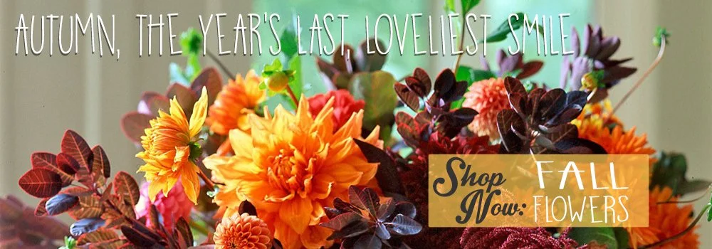 Apple Blossom Florist - Oakland Flower Delivery Oakland