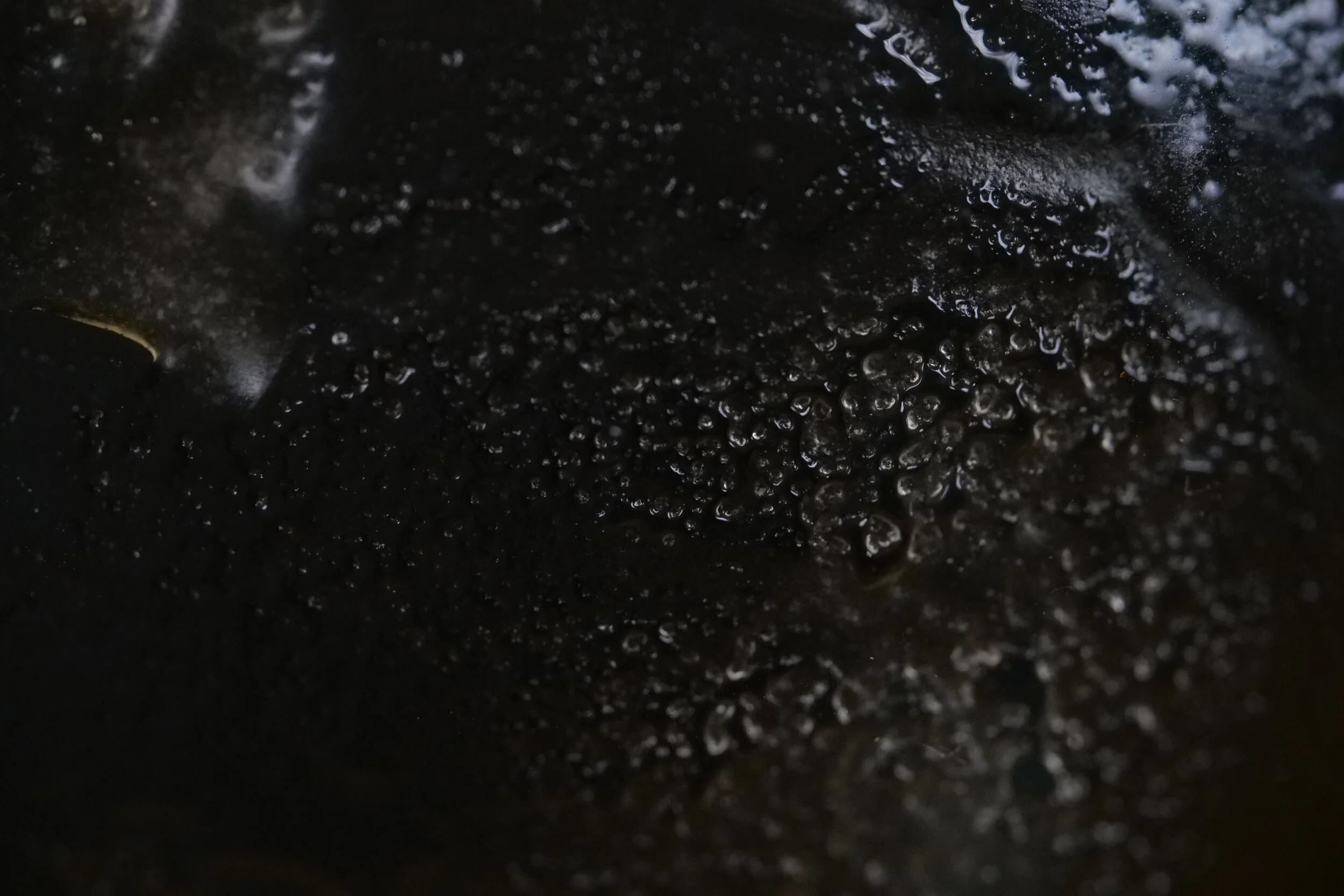 gallery — Sweatyfish.net