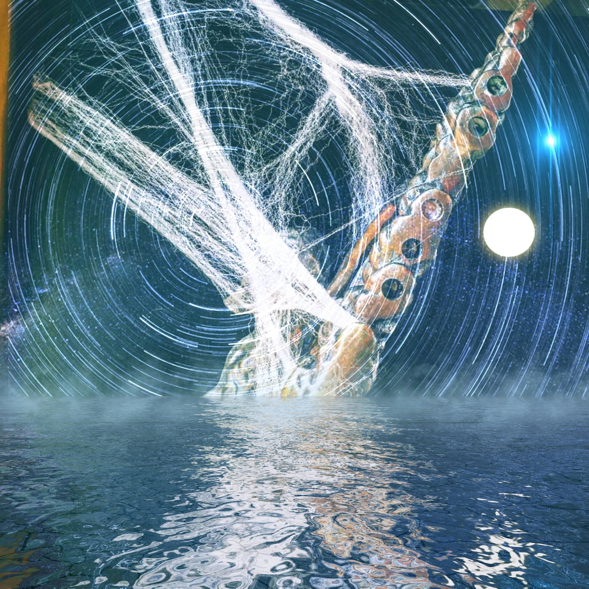 gallery — Sweatyfish.net