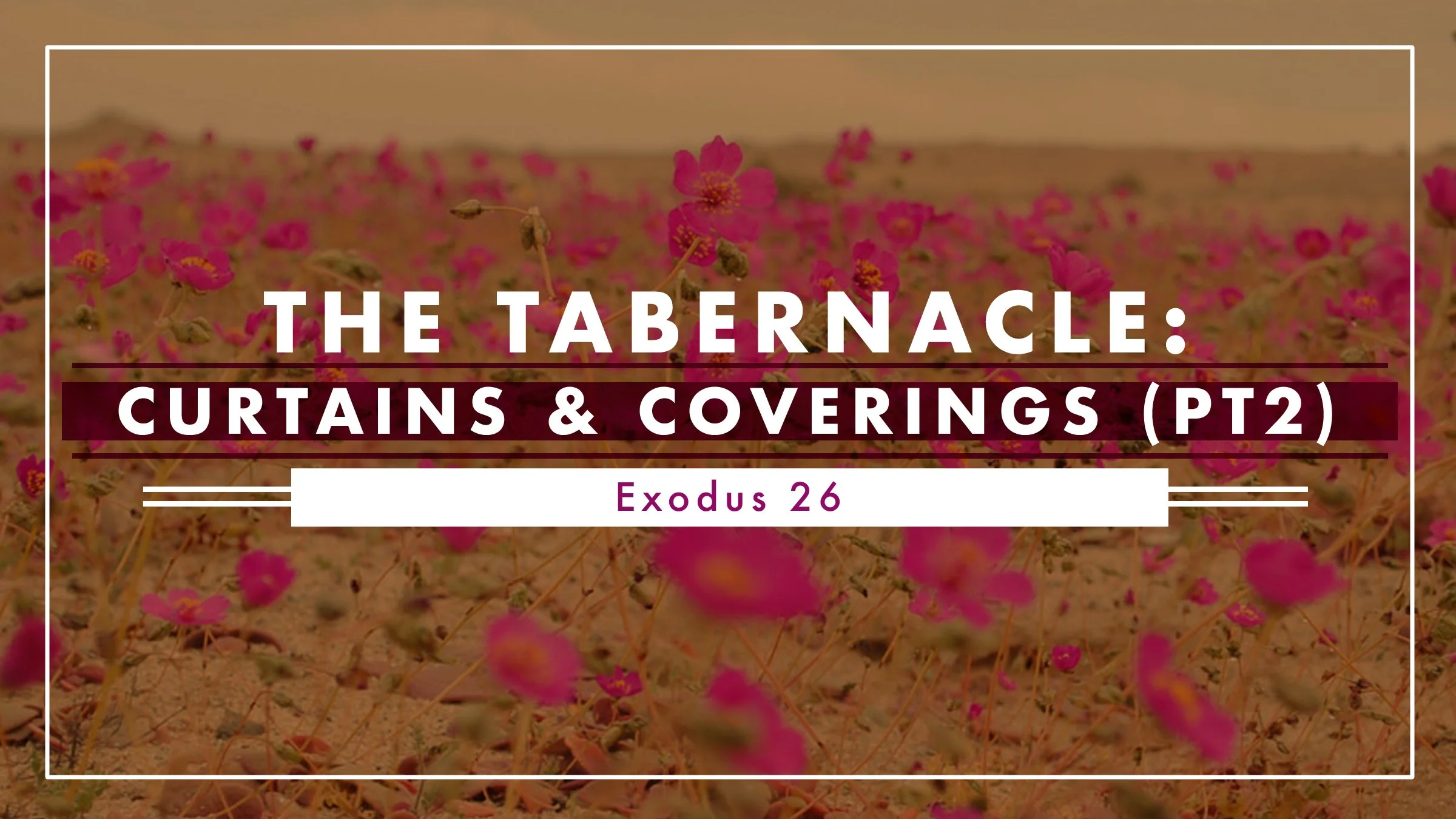 Redemption Church Delray Beach - The Tabernacle: Curtains and Coverings (pt 2) | Exodus 26