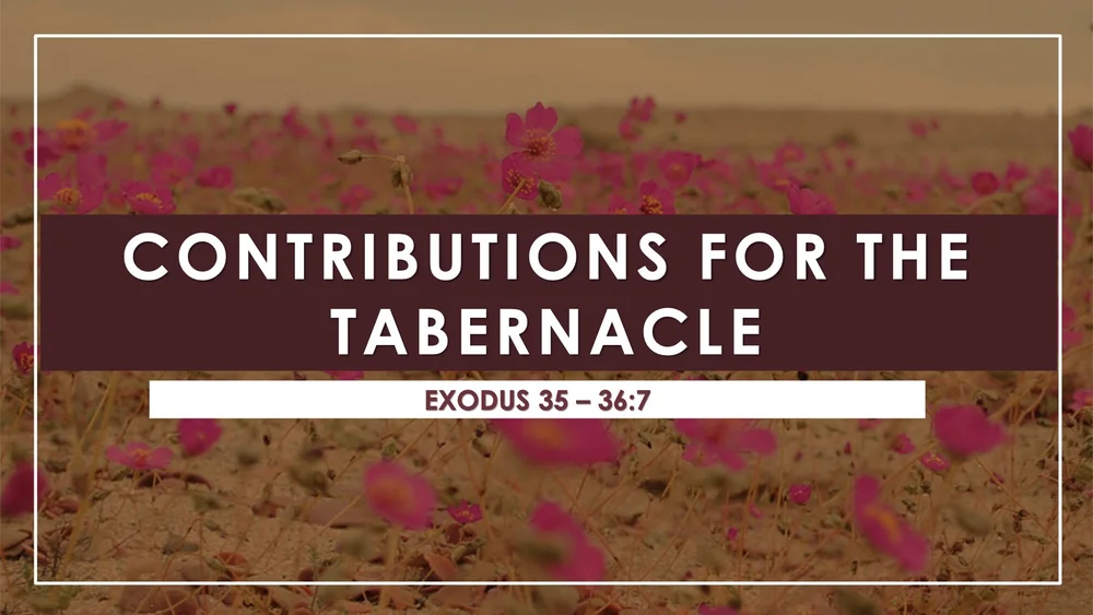 Redemption Church Delray Beach - Contributions For The Tabernacle ...