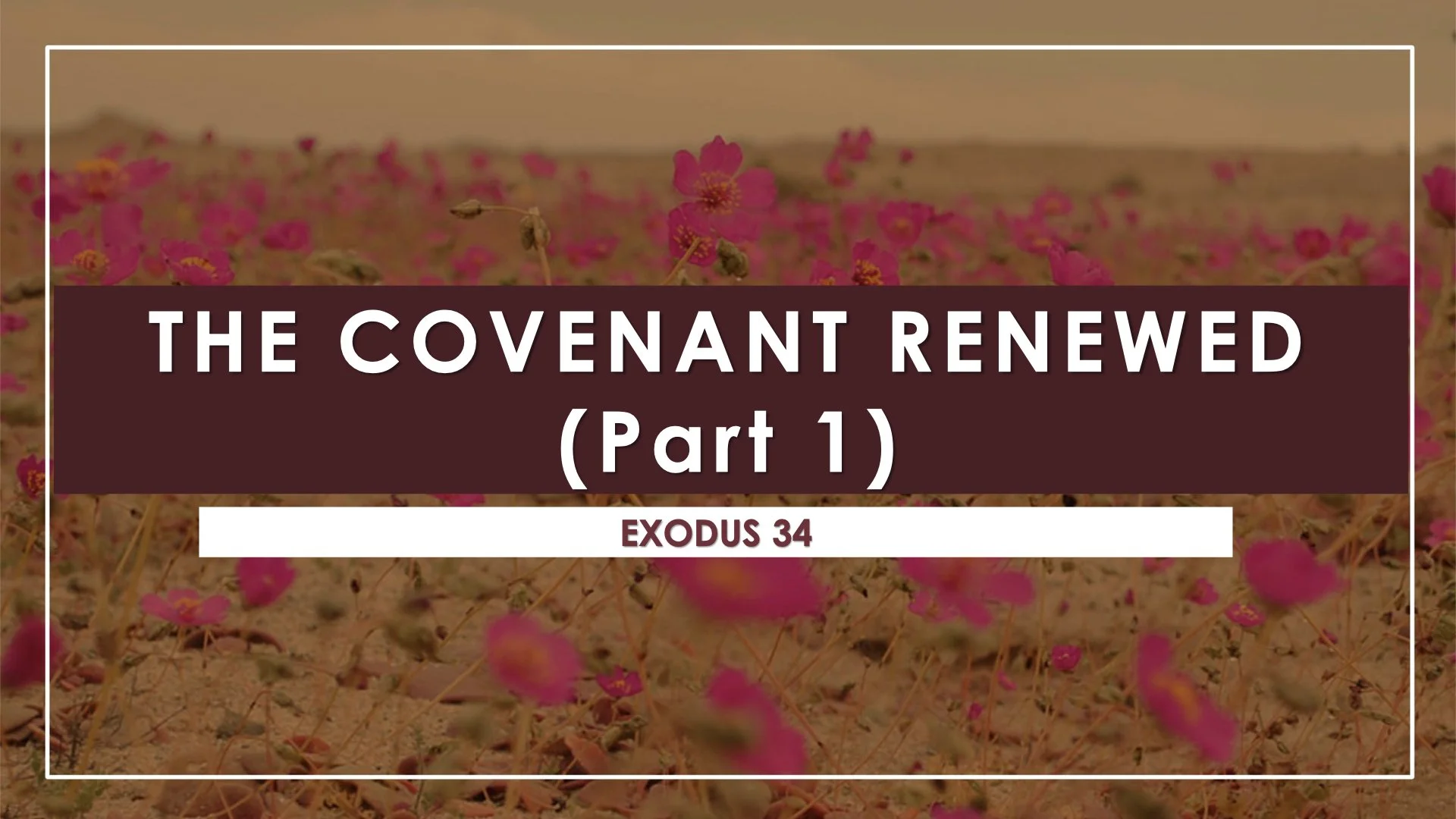 Redemption Church Delray Beach - The Covenant Renewed (pt1) | Exodus 34