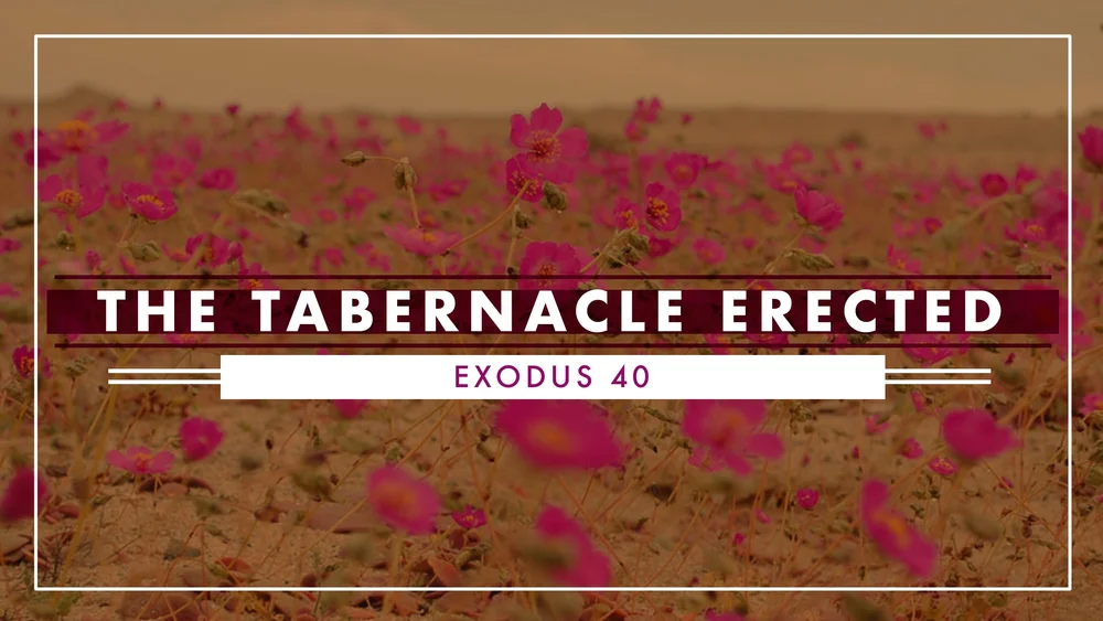 Redemption Church Delray Beach - The Tabernacle Erected | Exodus 40