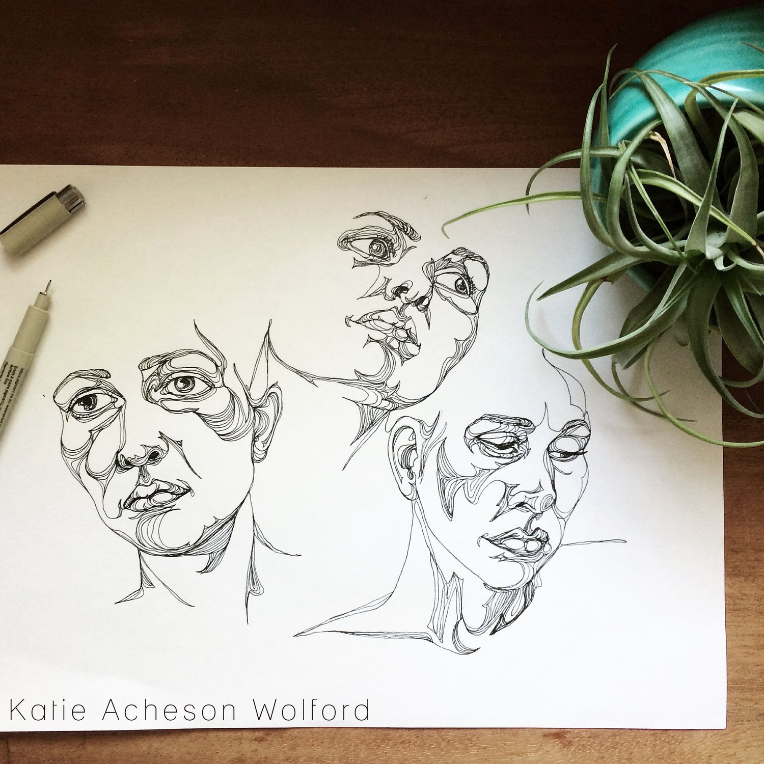 Continuous Line — Katie Acheson Wolford