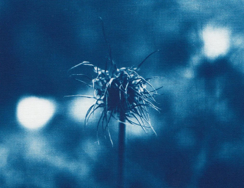 News - Amber Helene Muller St. Thomas