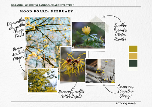 Botaniq Garden Blog | Expert Tips & Inspiration for Your Outdoor Space ...