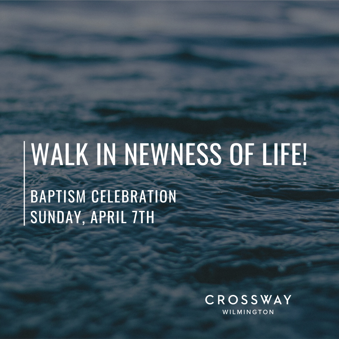 CHRIST COMMUNITY COMMISSION