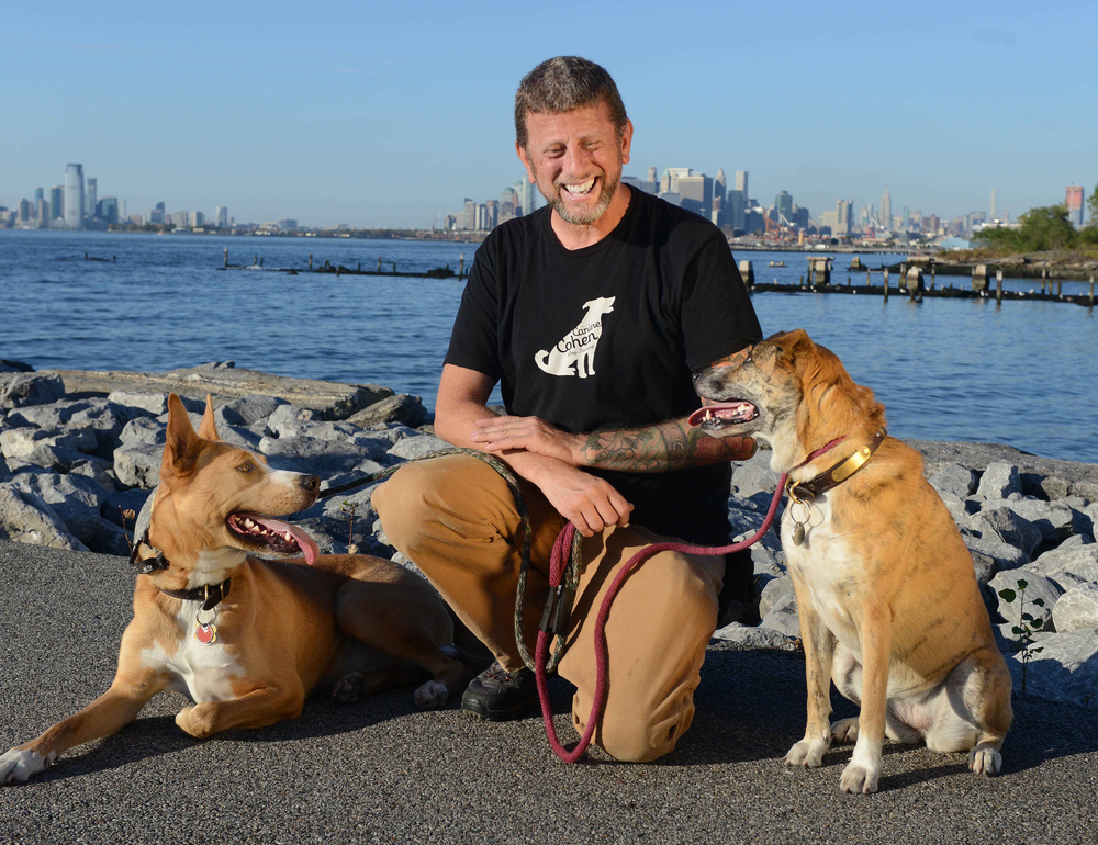 Canine Cohen Dog Training