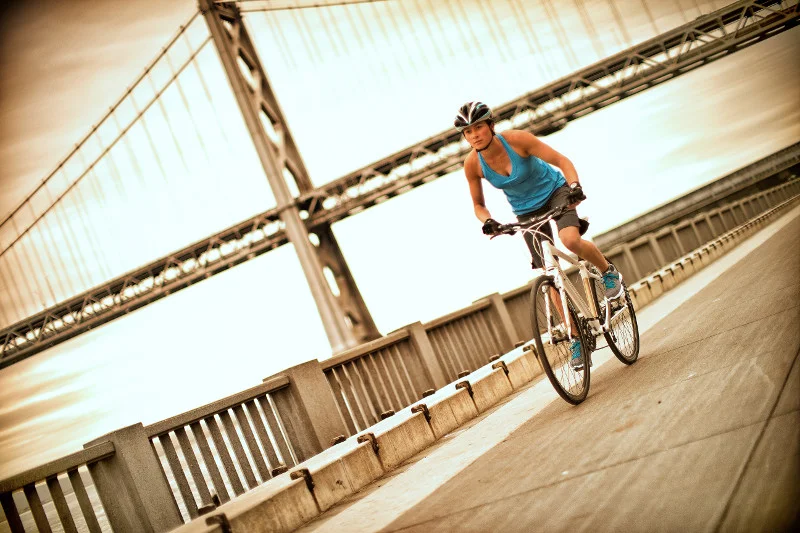 Commuter & Utility Bicycles — Freewheeler Bicycle Center