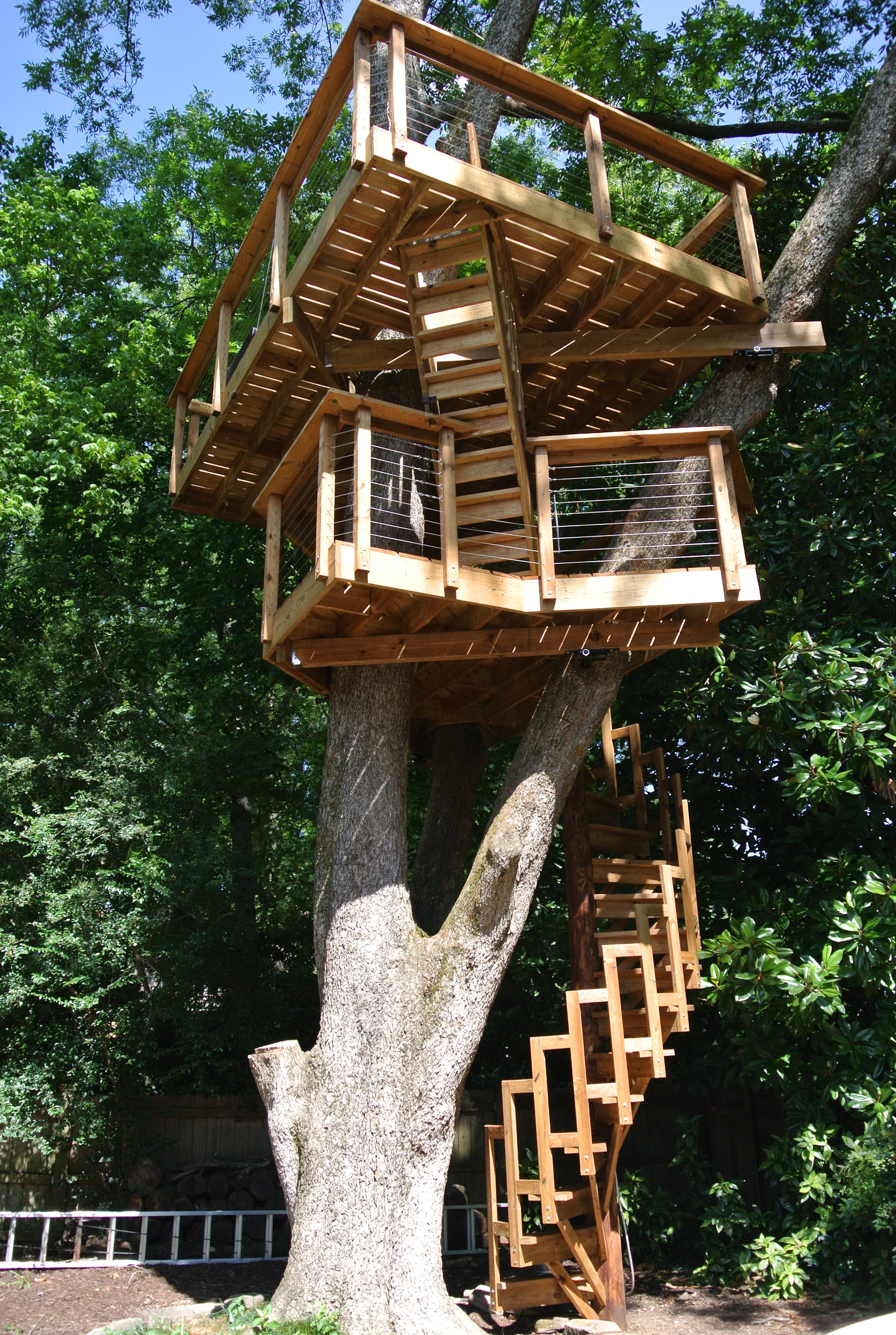 Pictures — Treehouse Experts LLC