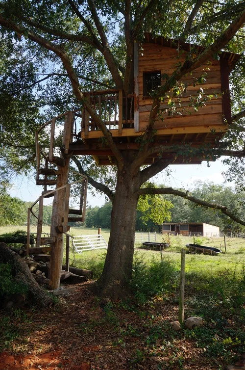 Treehouse — Treehouse Experts LLC