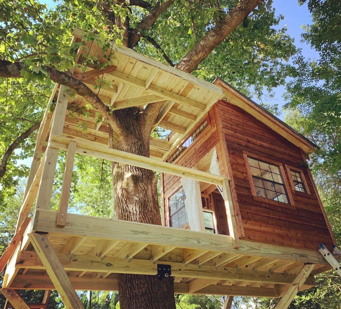 Double Deck Treehouse — Treehouse Experts LLC