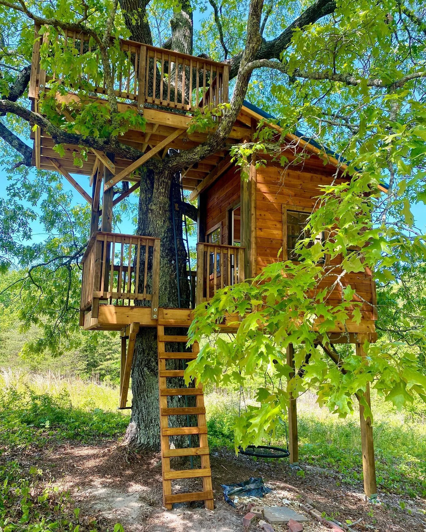 Cool Tree Houses Designs