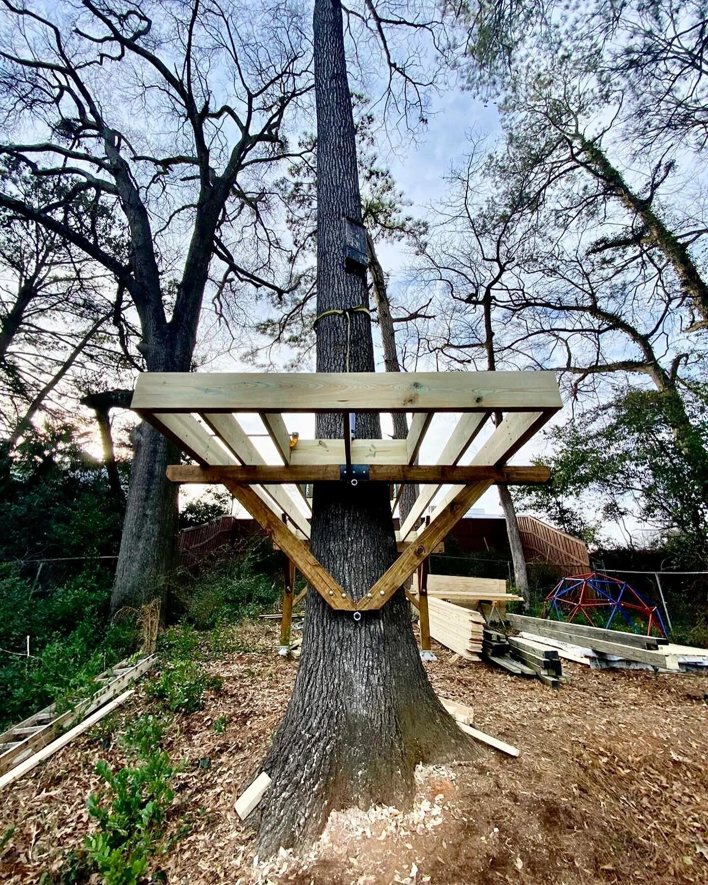 Treehouse Experts LLC