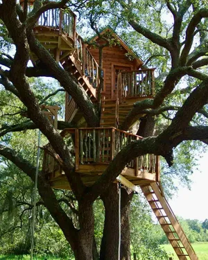 Treehouse Experts LLC