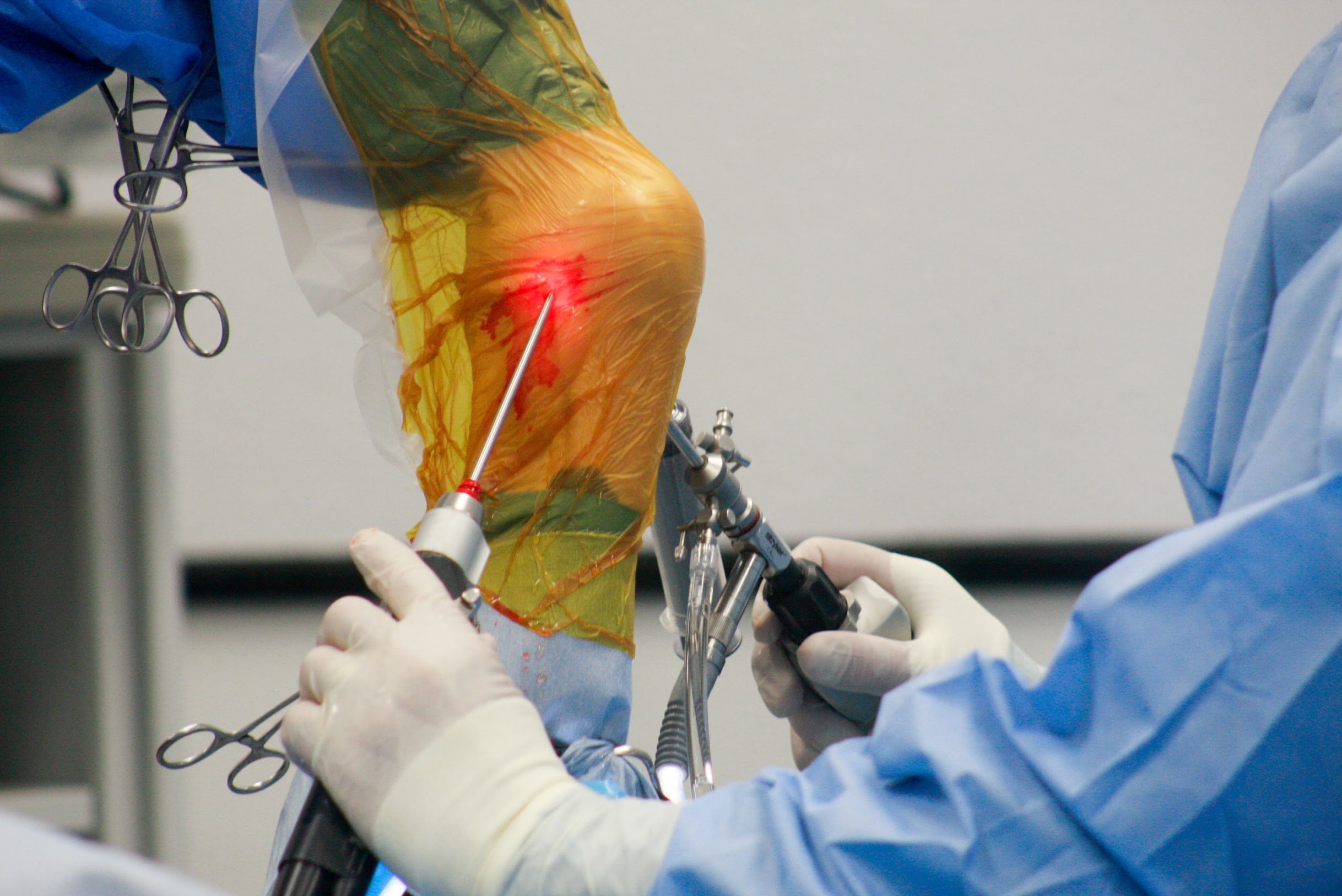 Equine Athlete Veterinary Services | North Texas — Equine Athlete ...