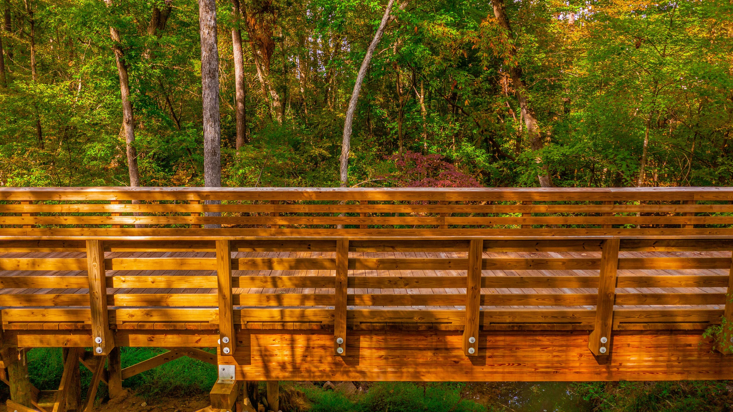 Boardwalk Design & Construction — Backwoods Bridges : Custom Timber ...