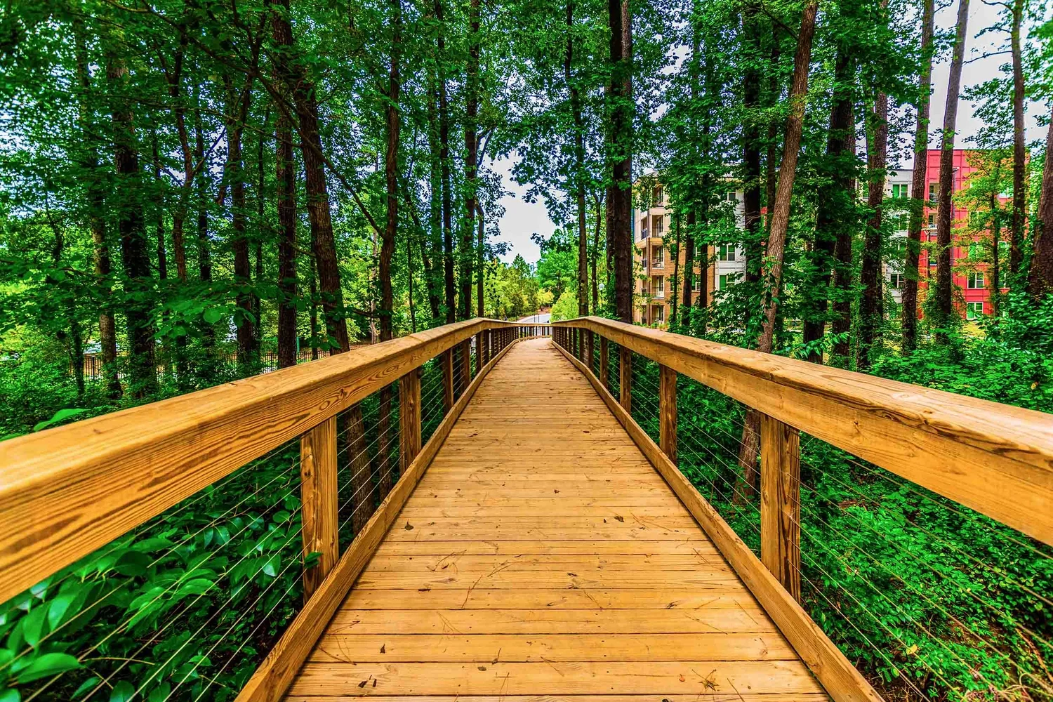 Custom Timber Pedestrian Bridges | Multi-Use Trails & Footbridges ...