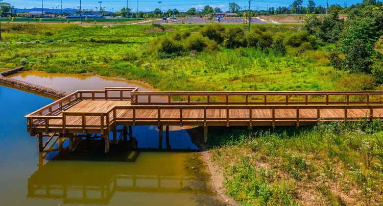 Eco-Friendly Elevated Boardwalks | Residential & Commercial — Backwoods ...