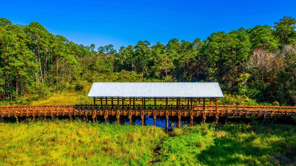 Backwoods Bridges | Custom Timber Bridge Construction & Eco-Friendly ...