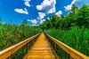 Eco-Friendly Elevated Boardwalks | Residential & Commercial — Backwoods ...