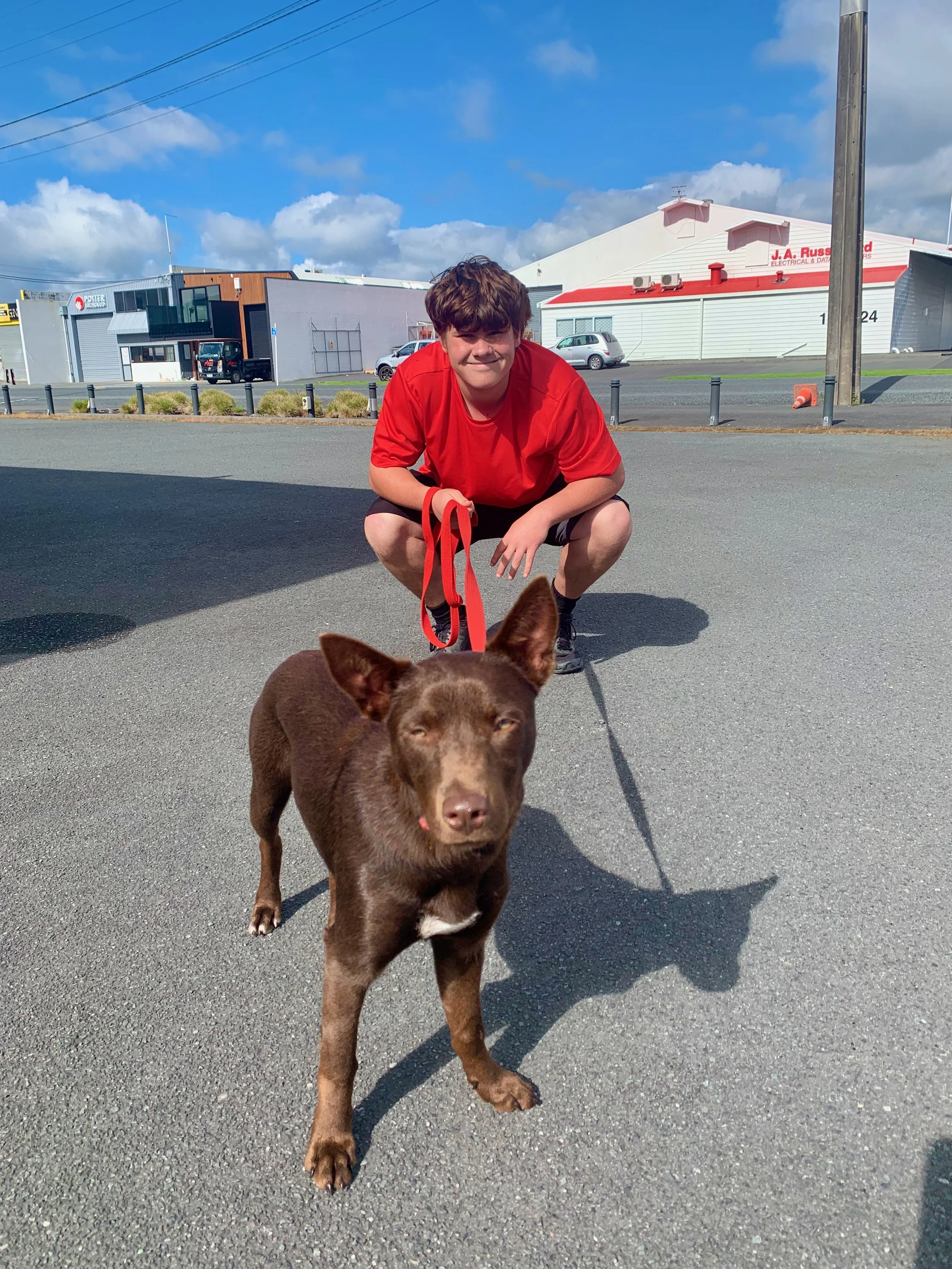 Behaviour and training — Happy Tails Dog Training