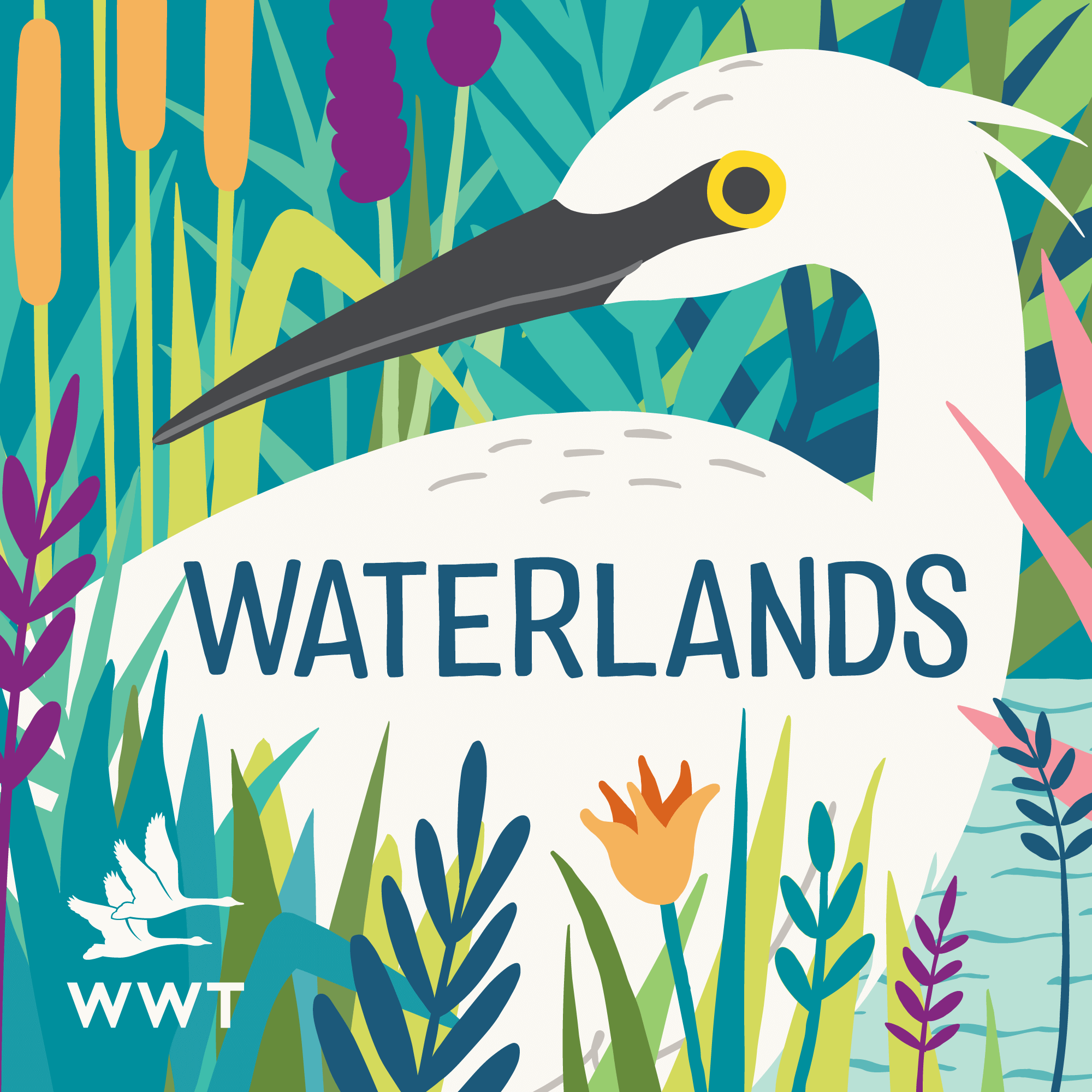 Carys-ink | Freelance Illustrator & Graphic Designer, Bristol UK