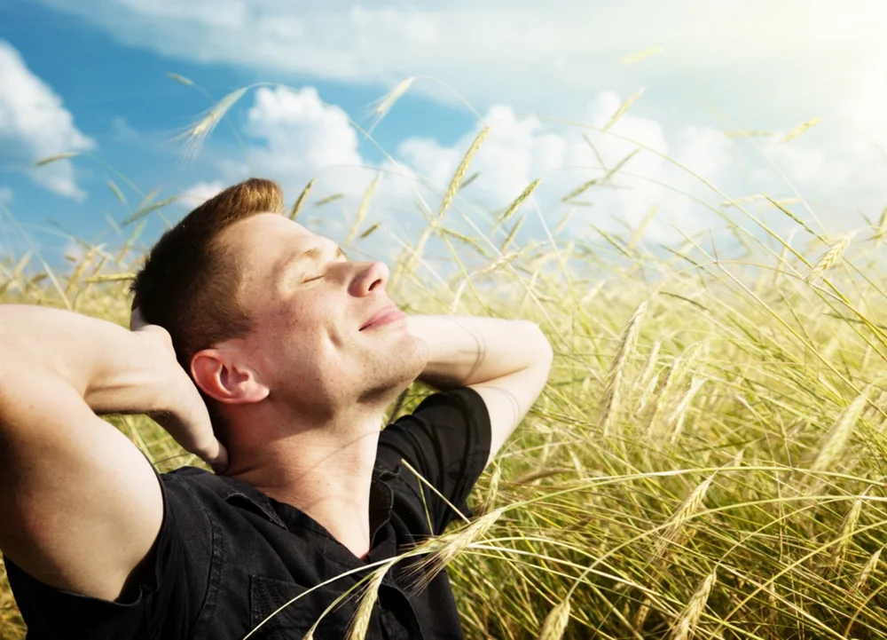 The Five Major Elements to Optimizing Your Quality of Life — MindSpa