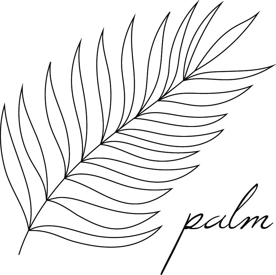 Palm Branch Outline