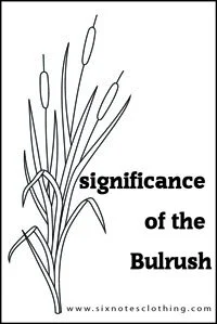Meaning of the Bulrush in the Bible — six notes clothing