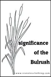 Meaning of the Bulrush in the Bible — six notes clothing