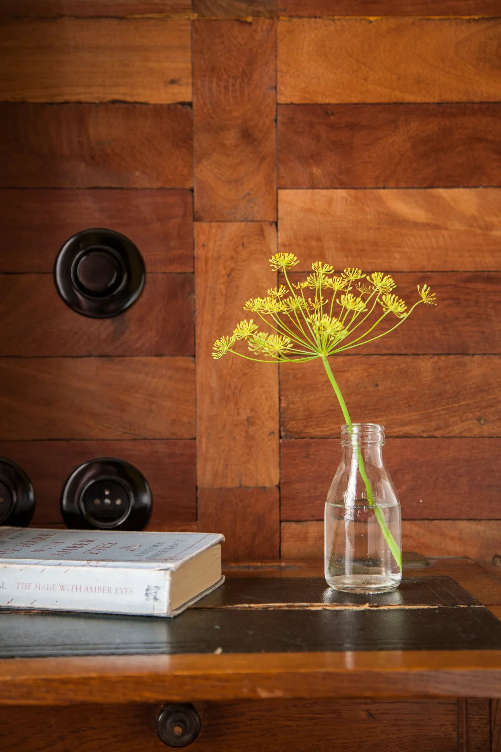 tom fallon photography