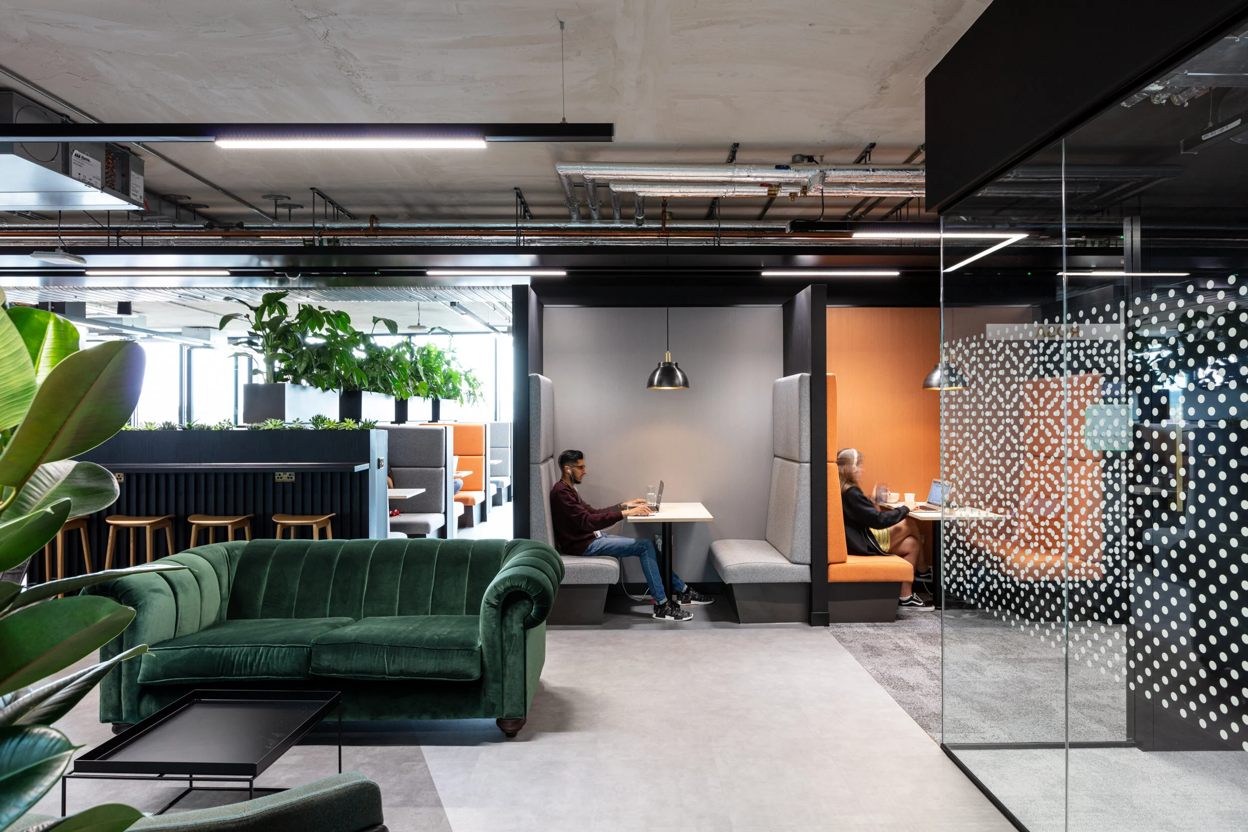 tom fallon photography