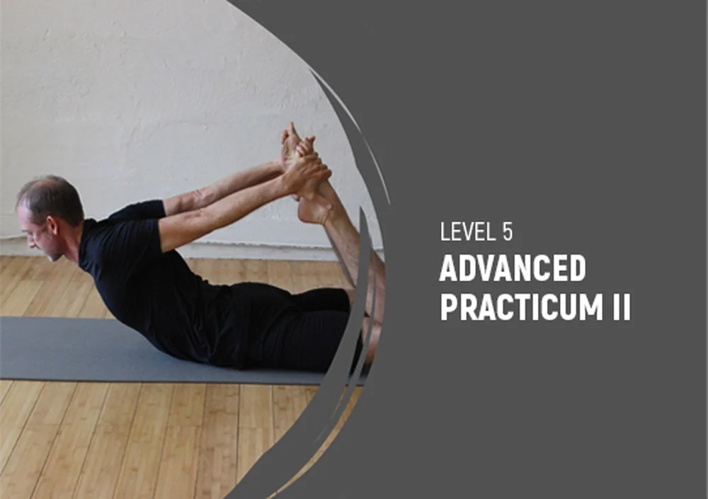 STUDENT PORTAL — Whole Body Method