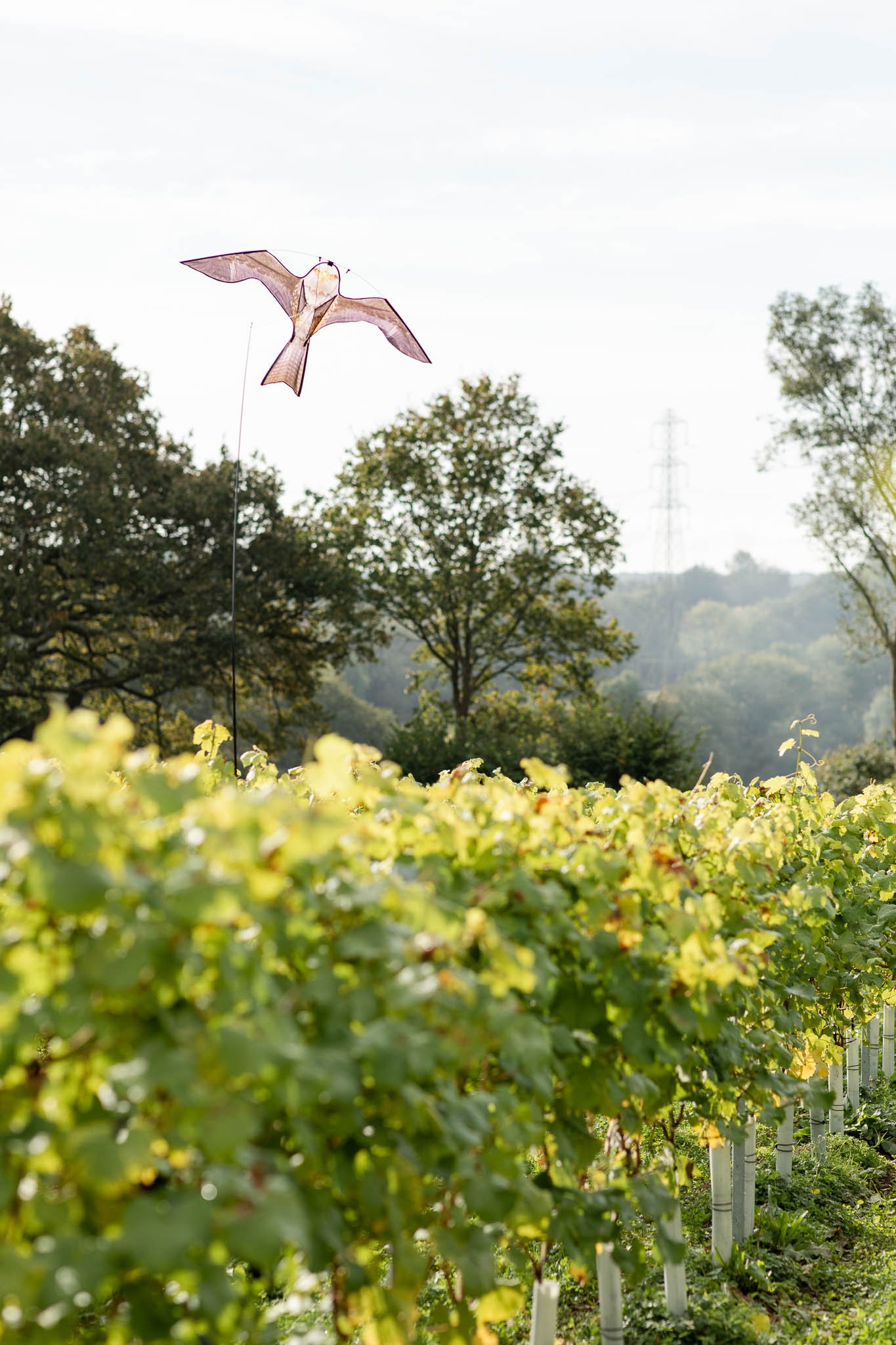 Lifestyle & Outdoors - Ellen Richardson Photography — ELLEN RICHARDSON