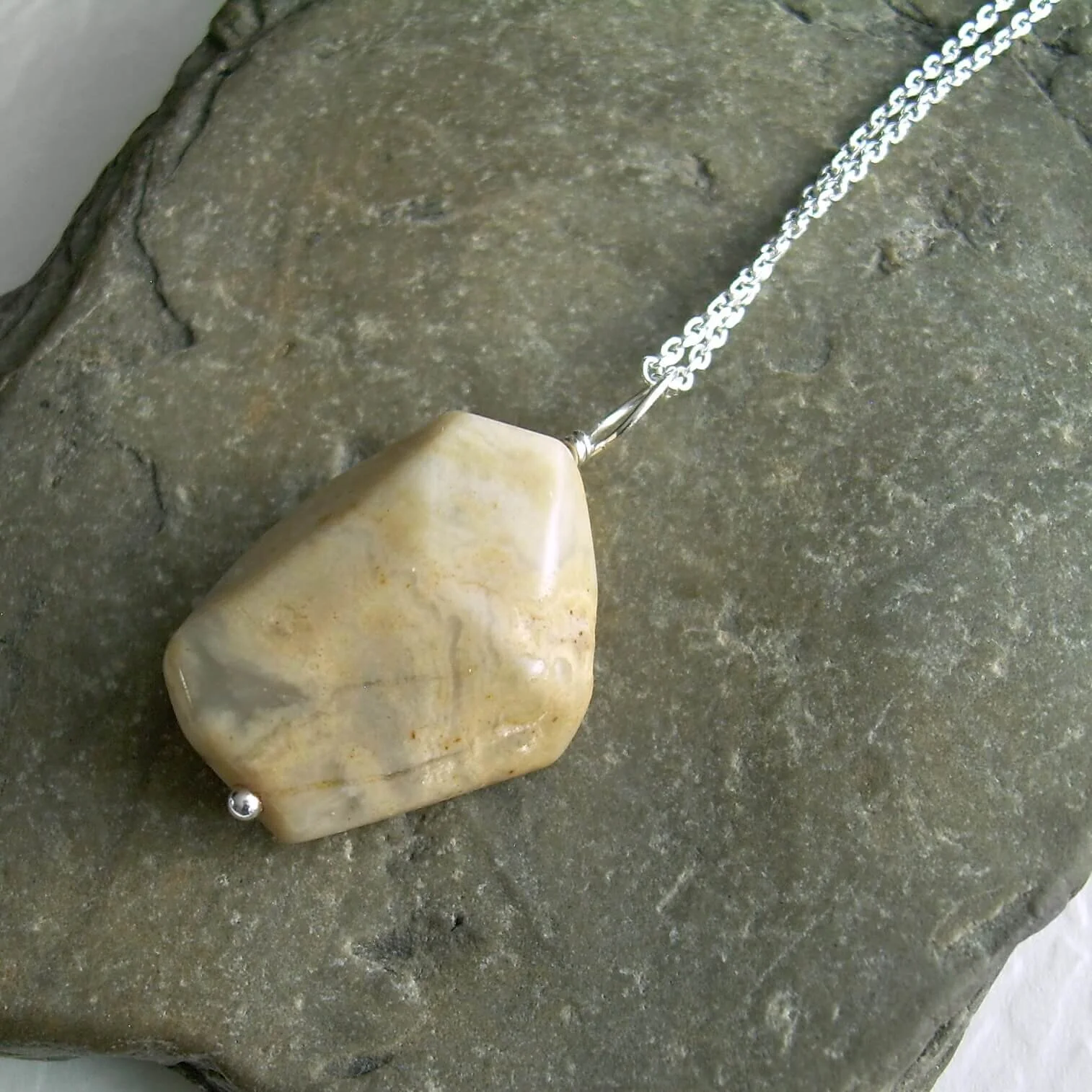 Dinosaur Coprolite Pendant, Fossilized Poop Jewellery — CindyLouWho2