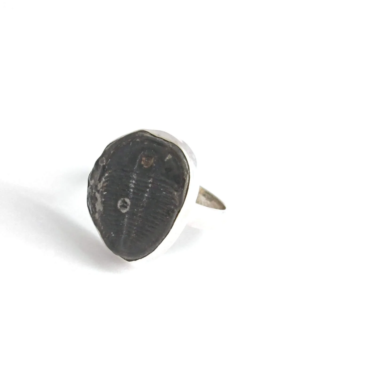 Genuine Trilobite Ring, Black Fossil, Sterling Silver — CindyLouWho2