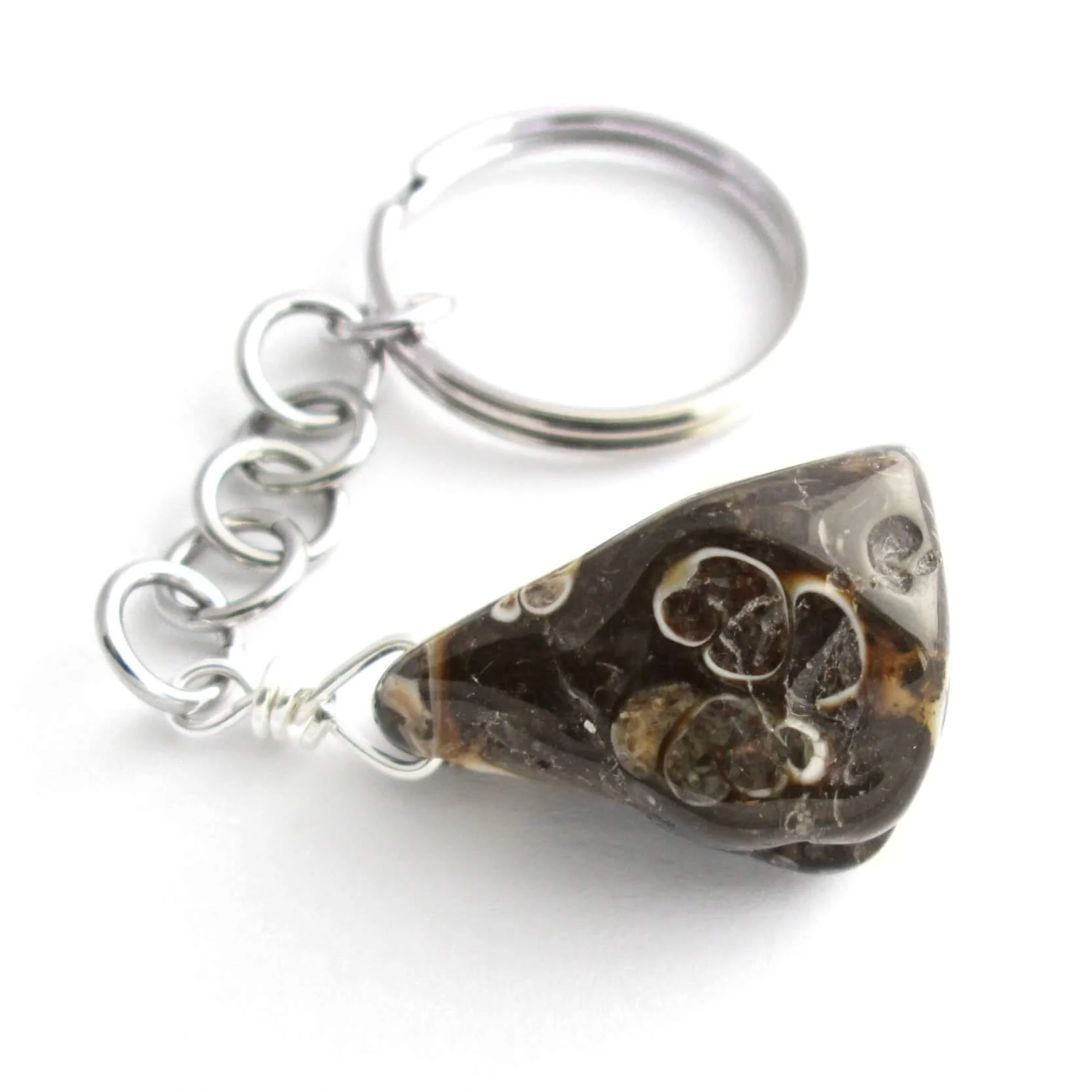 Turritella Agate Key Chain, Fossil Shells in Brown — CindyLouWho2