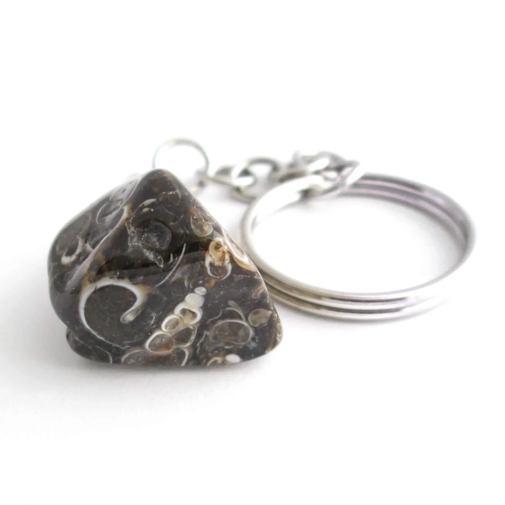 Turritella Agate Key Chain, Fossil Shells in Brown — CindyLouWho2