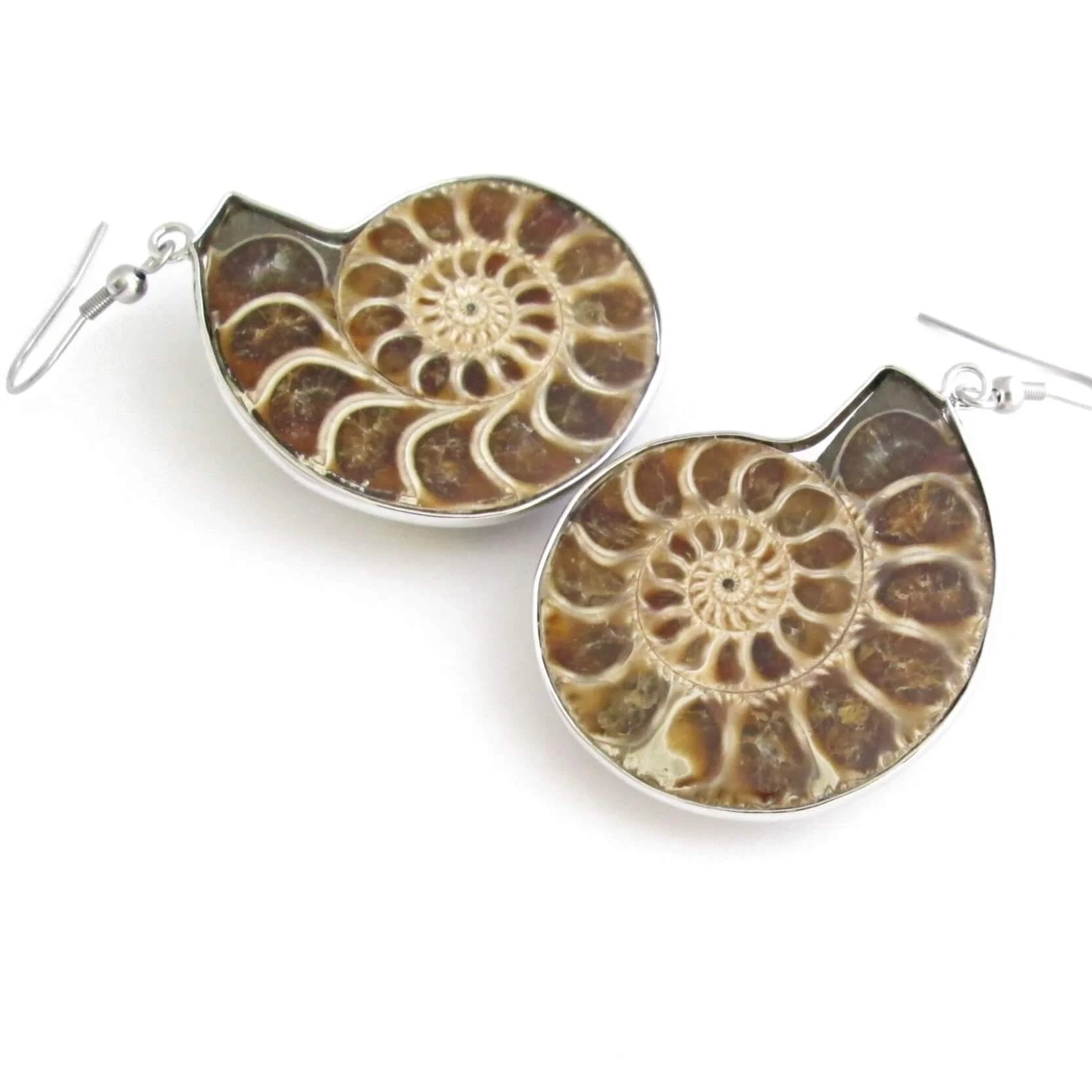Fossil Ammonite Earrings, Large Brown Stone Cephalopod Jewelry ...