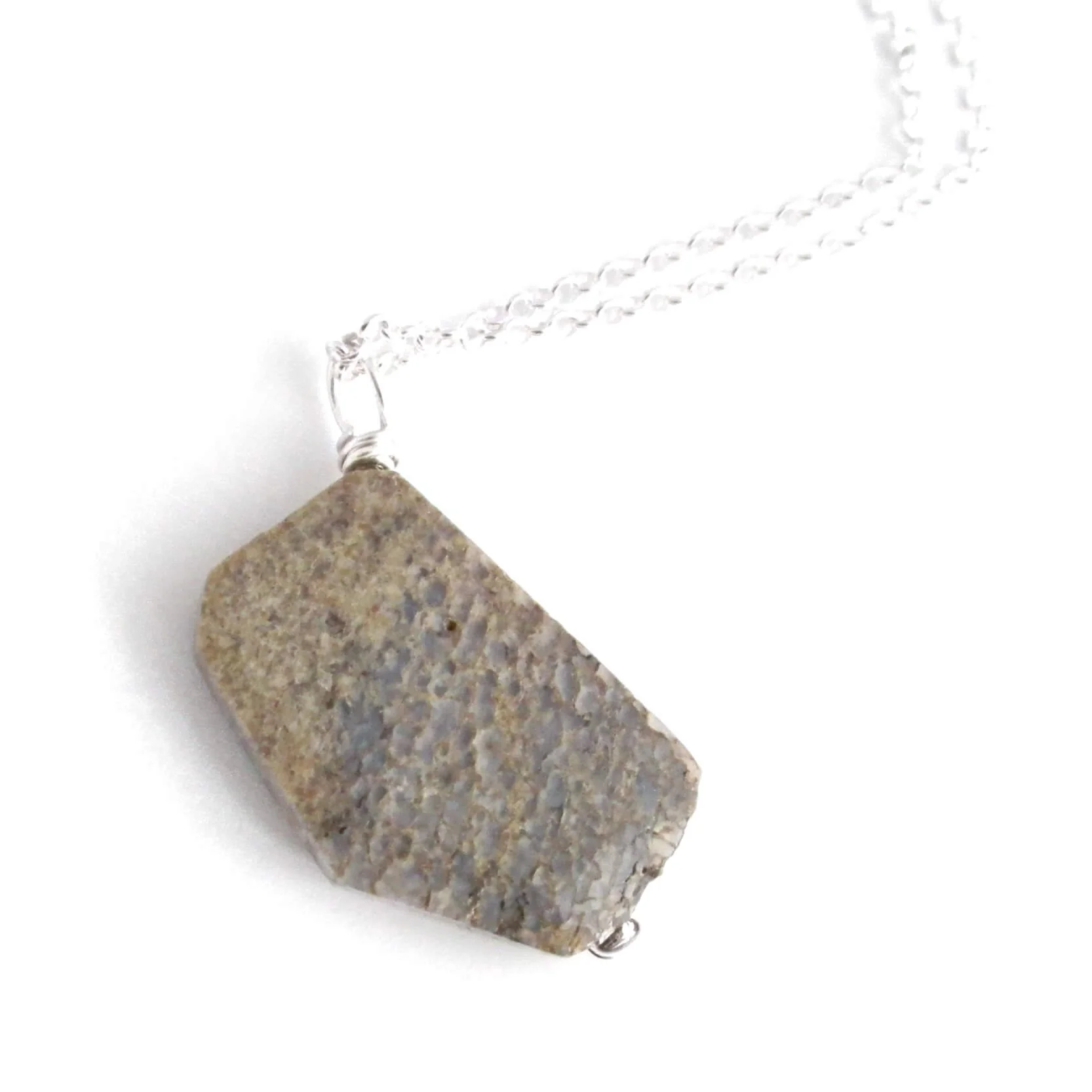 Dinosaur Bone Necklace, Fossil Pendant in Sterling Silver — CindyLouWho2
